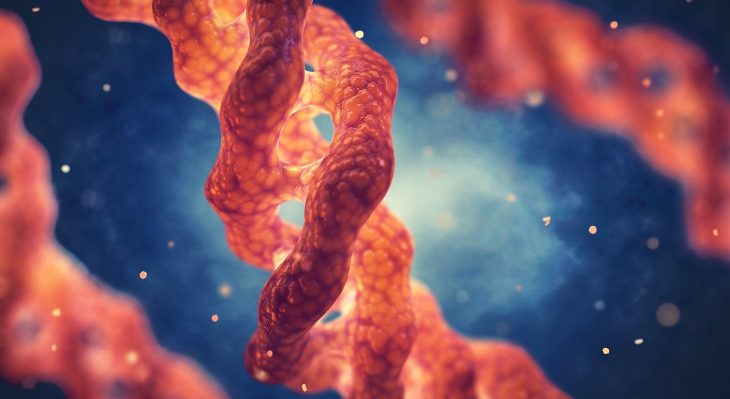 Oncology | Biosplice